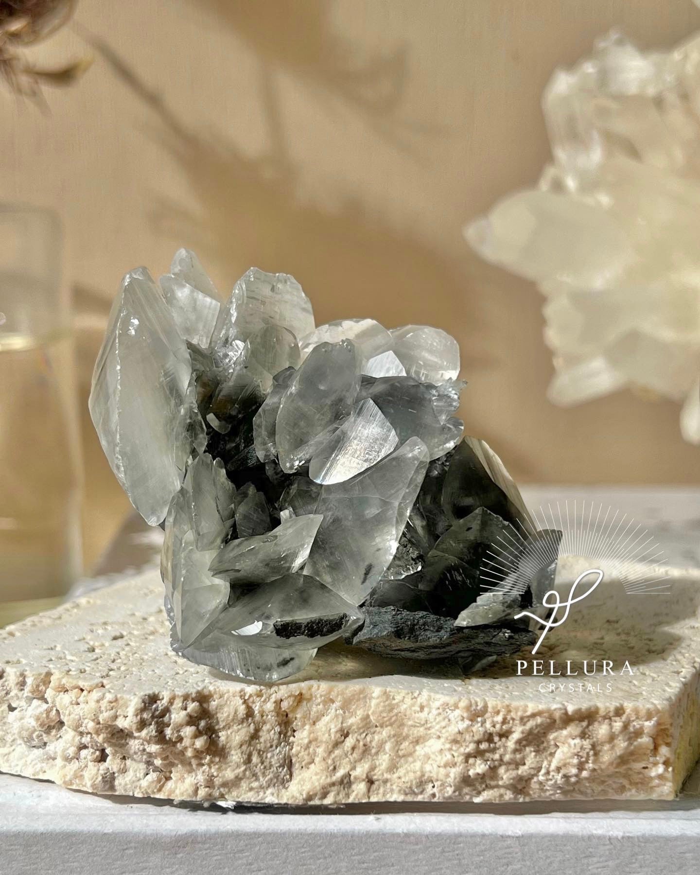 Shell Calcite – Pellura